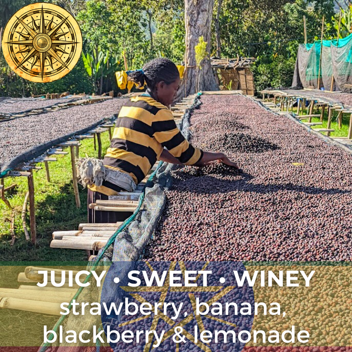 Ethiopia Yirgacheffe Wush Wush 96 Hour Anaerobic Natural – The Captain ...