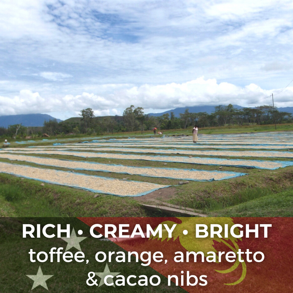 Papua New Guinea Siane Chimbu Organic – The Captain's Coffee