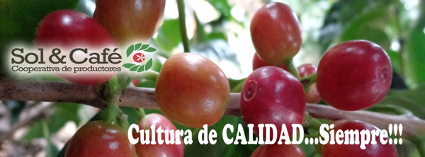 Peru Sol y Cafe Organic Fair Trade – The Captain's Coffee